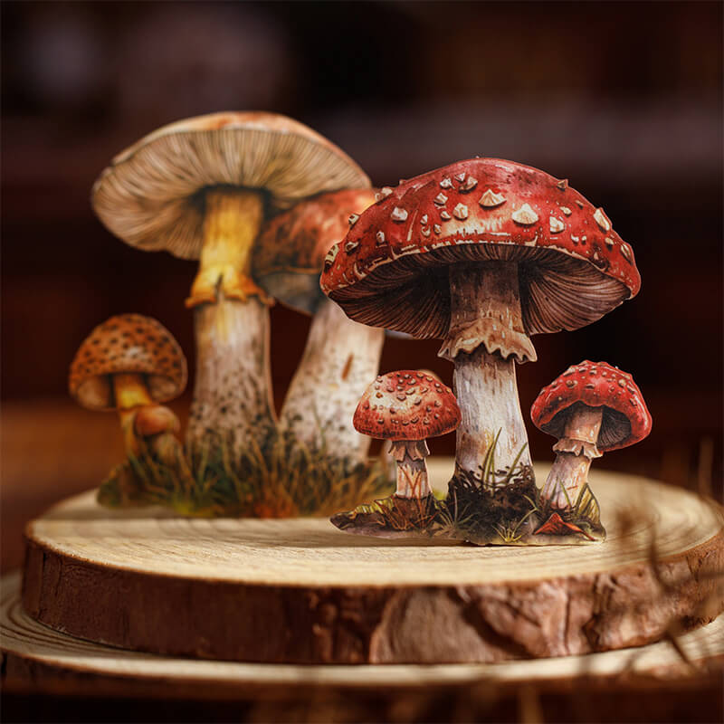 Mushroom Specimen Stickers – loloyaya